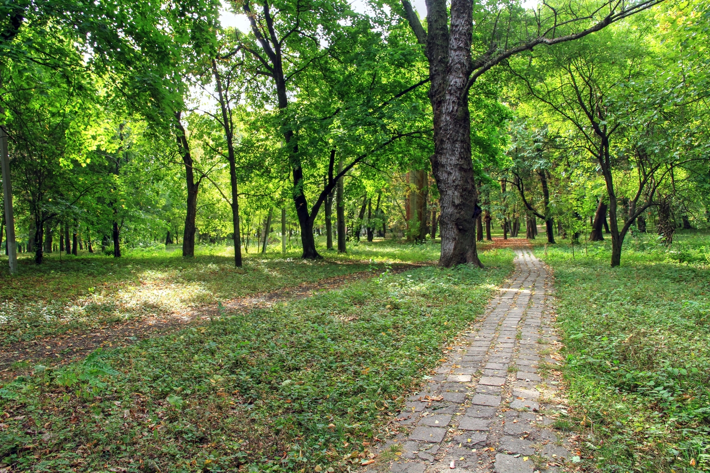 Circa 12 mil lei pentru modernizarea unui parc – ARENA Constructiilor ...