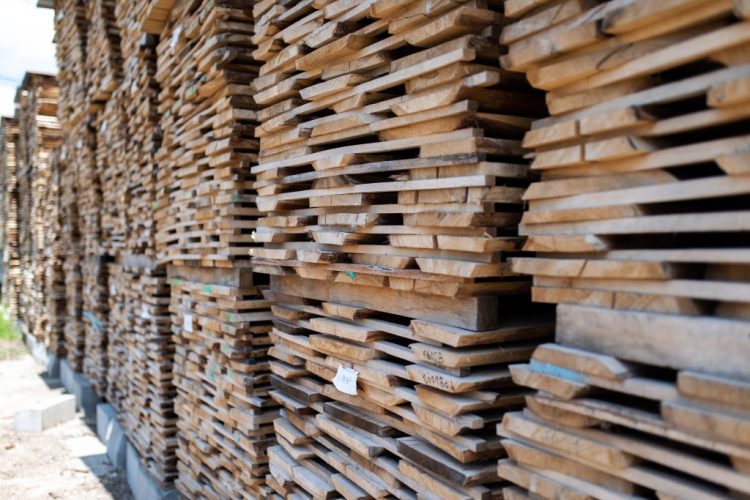 Cum a evoluat pretul cherestelei – ARENA Constructiilor – stiri din ...